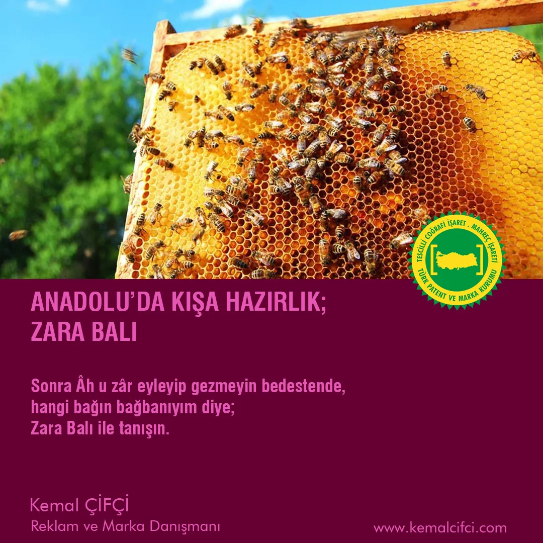 ZARA BALI - Marka Konseyi